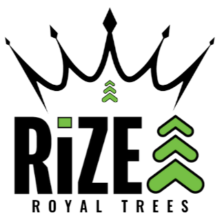 Rize careers + employment | Careers in Cannabis