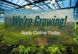 TerrAscend careers + employment | Careers in Cannabis